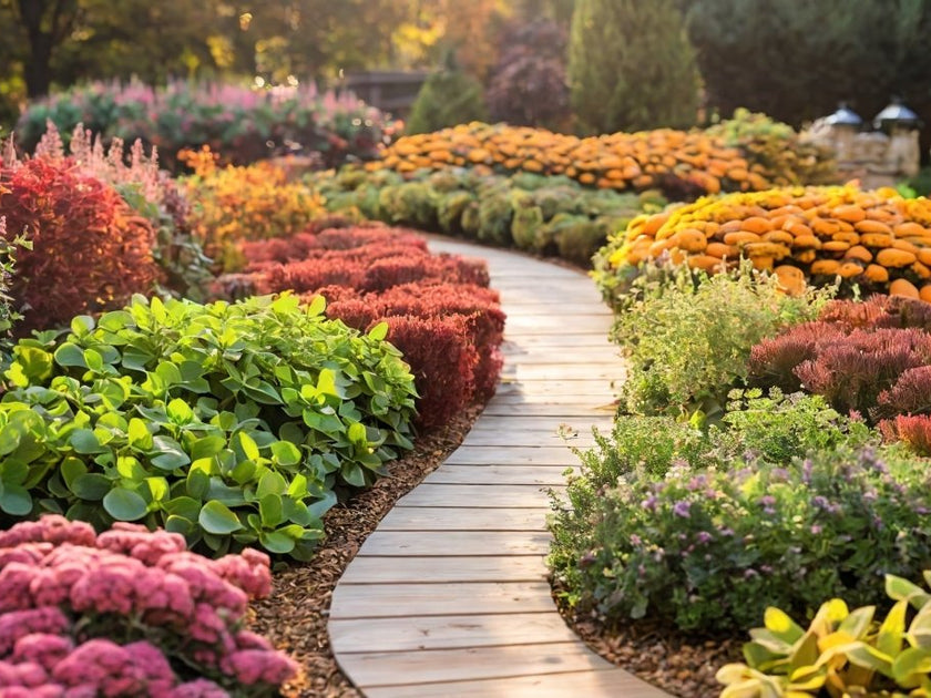 Creating a Fall Garden with Colorful Groundcovers – Plantology USA