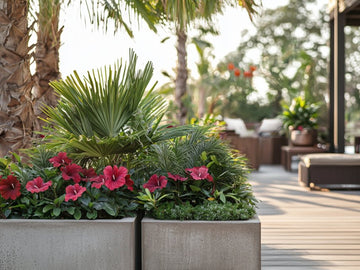 Florida Plant Guide – Plantology USA