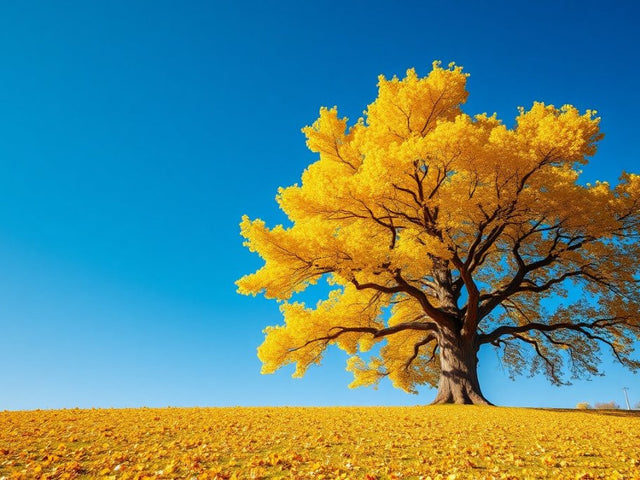 Planting Ginkgo Trees for Stunning Fall Foliage – Plantology USA