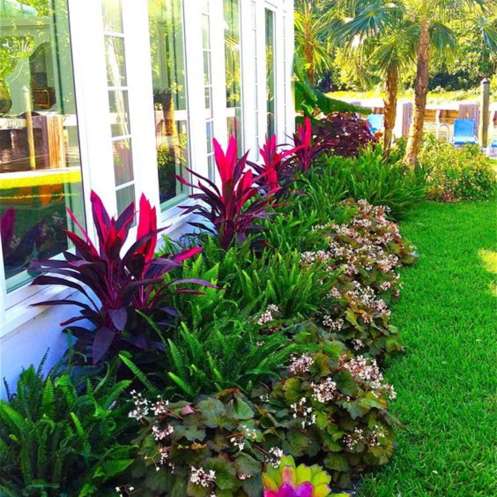 Spring Nursery Guide: Cultivate a successful garden – Plantology USA